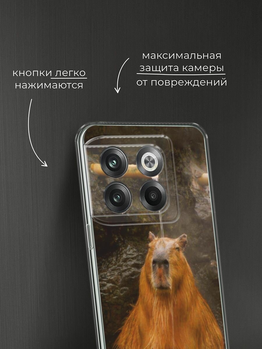 Чехол на OnePlus 10T / Ван плюс 10T с принтом "Капибара на отдыхе" — фото 1