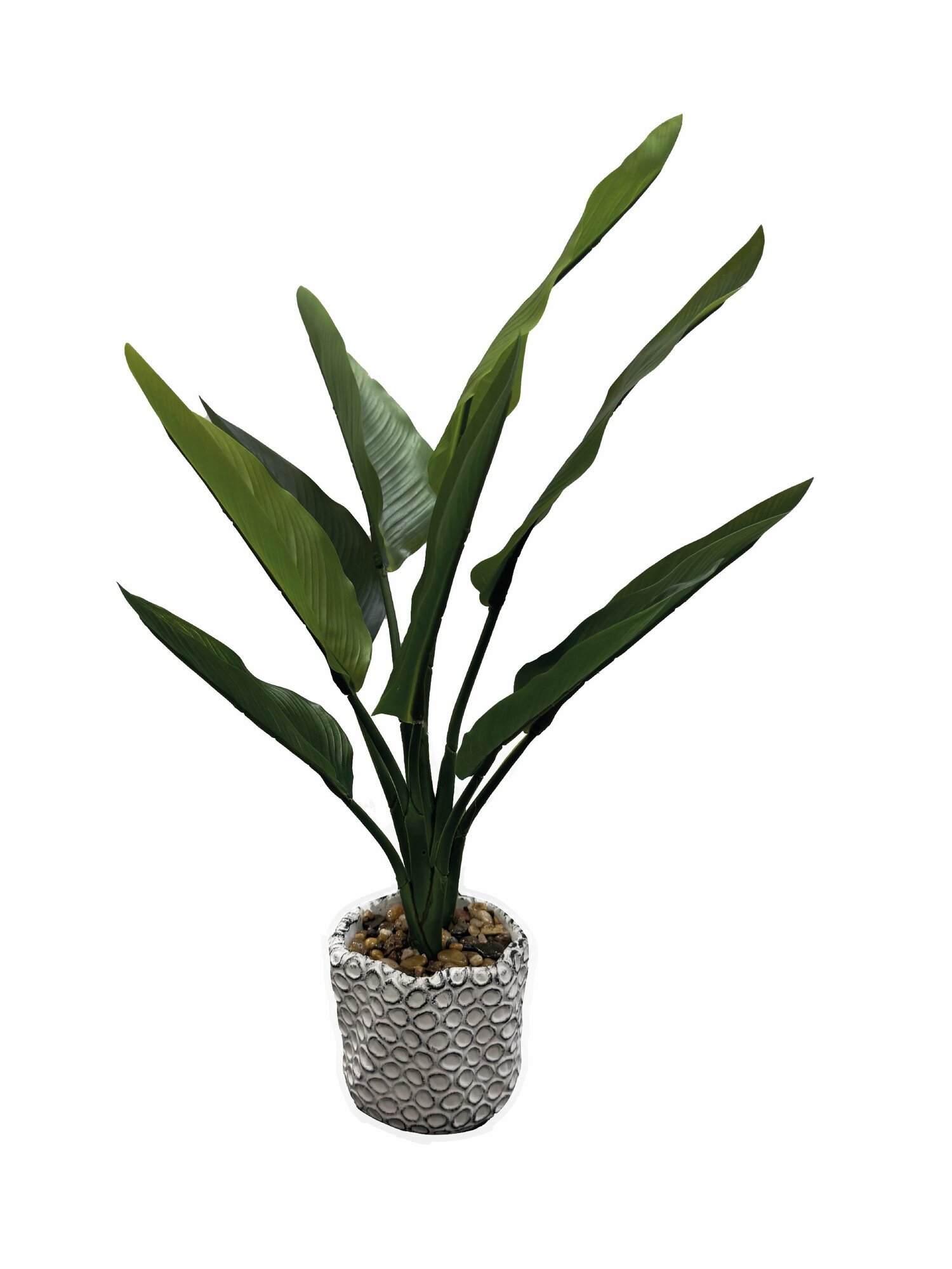 Стрелиция искусственная 50 см