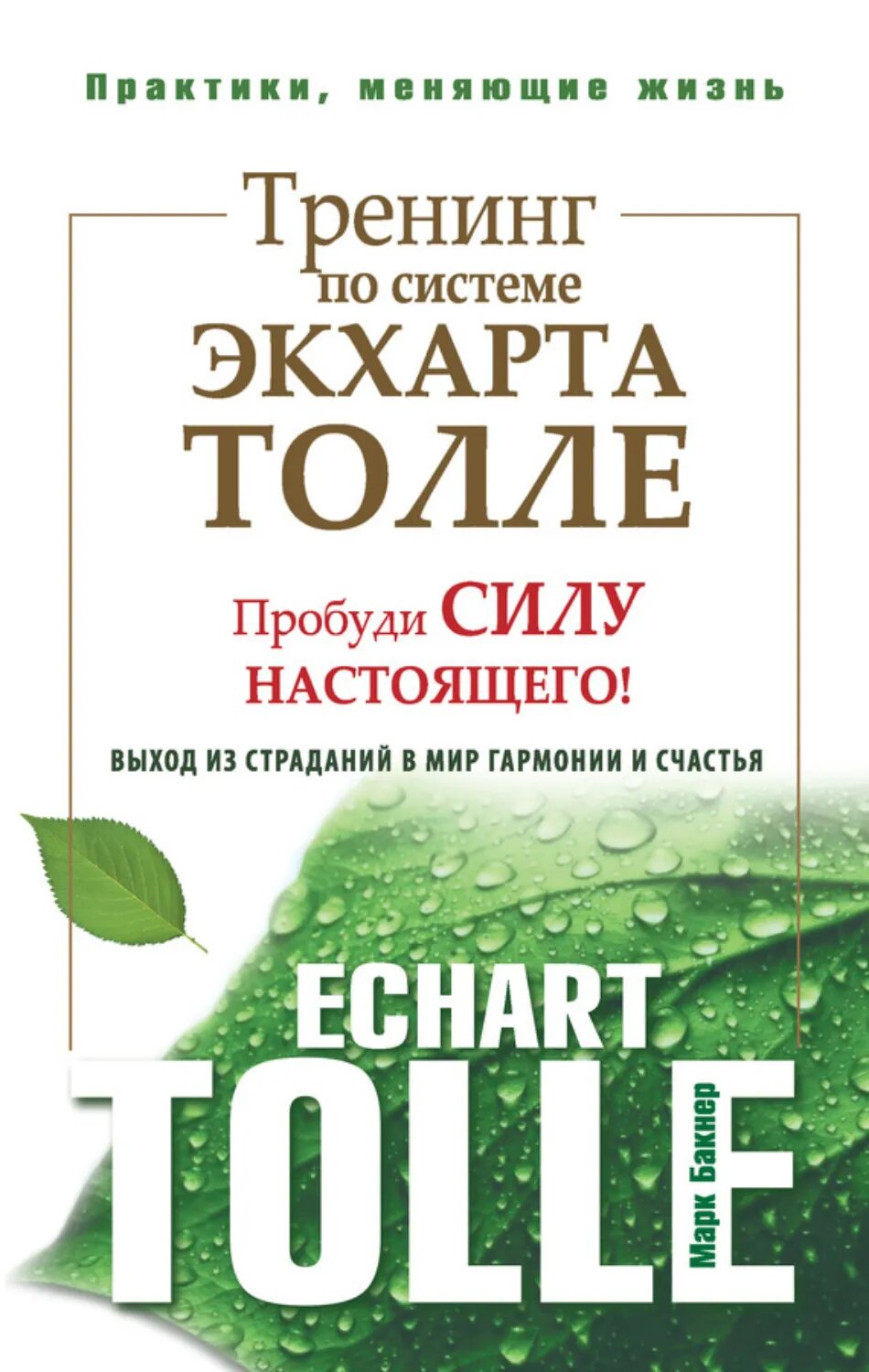 Тренинг по системе Экхарта Толле. Пробуди силу настоящего! Выход из страданий в мир гармонии и счастья [Цифровая книга]