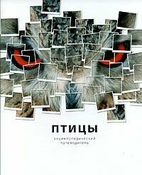 Птицы. Энциклопедический путеводитель