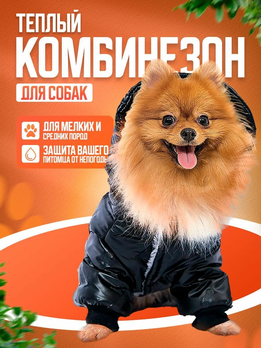 Комбинезон для собак мелких пород