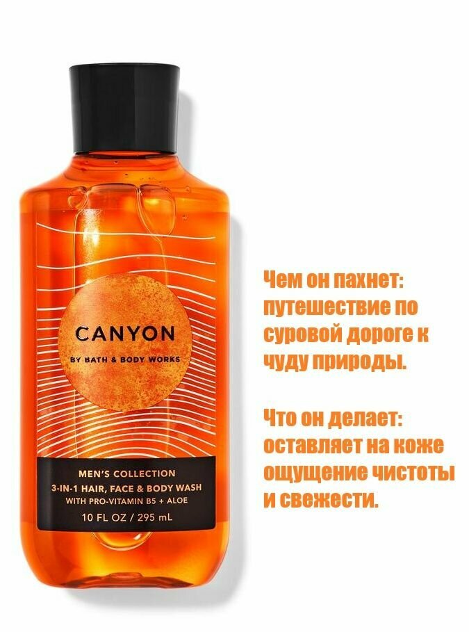 Bath and Body Works увлажняющий мужской гель для душа 3-в-1 Canyon (295 мл)