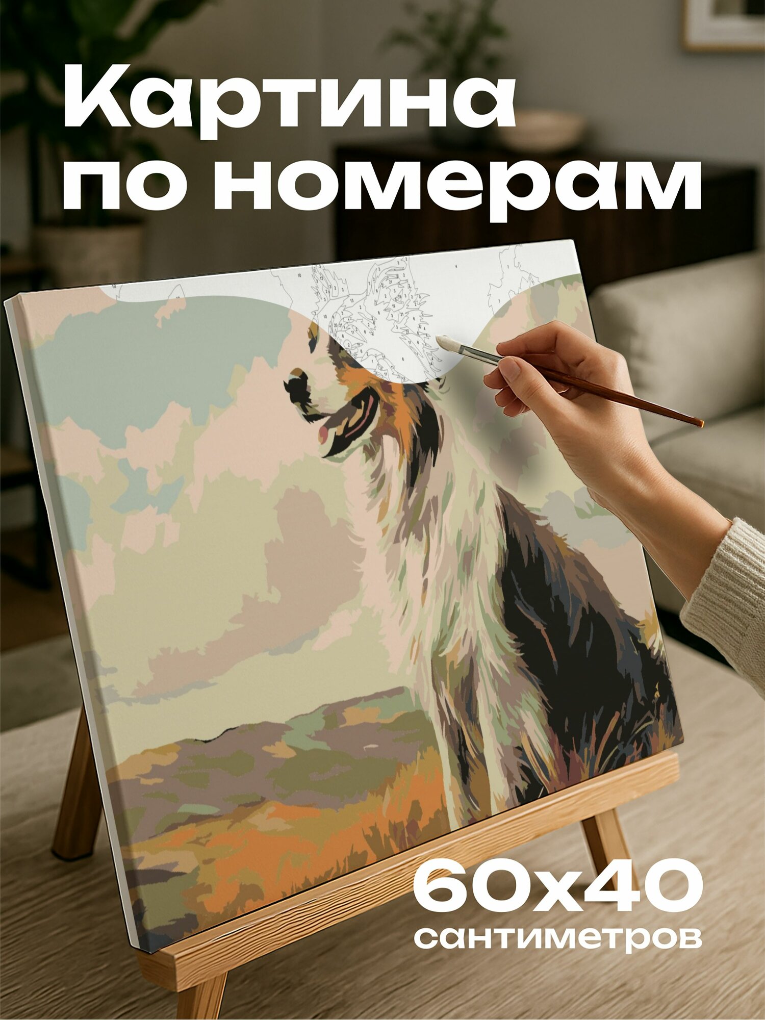 Картина по номерам 60x40 см, Колли, дружелюбный, энергичный, холмы, яркое солнечное небо, радость, оживление