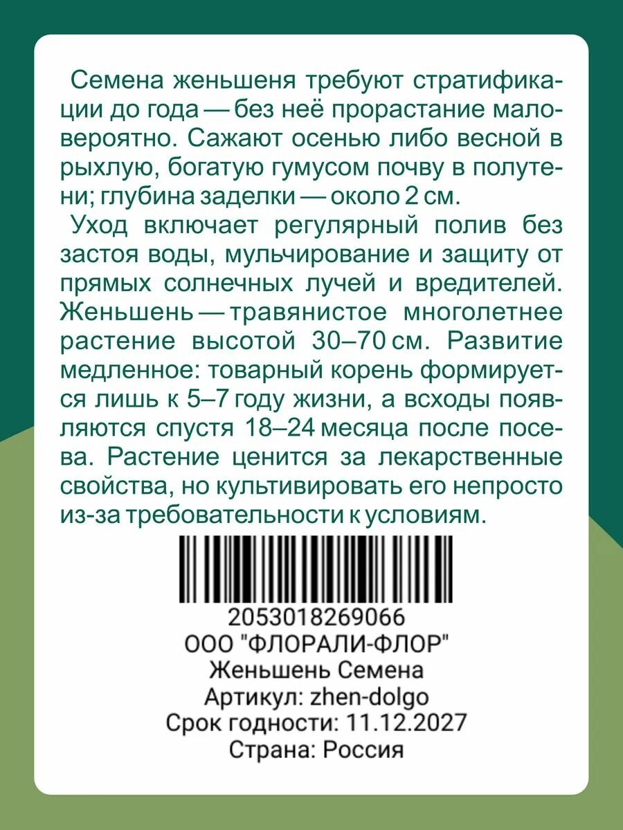 Женьшень Семена — фото 1