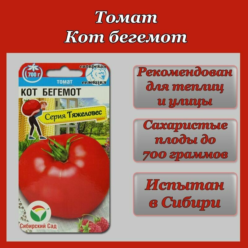 Томат Кот Бегемот (1 упаковка-20шт семян)