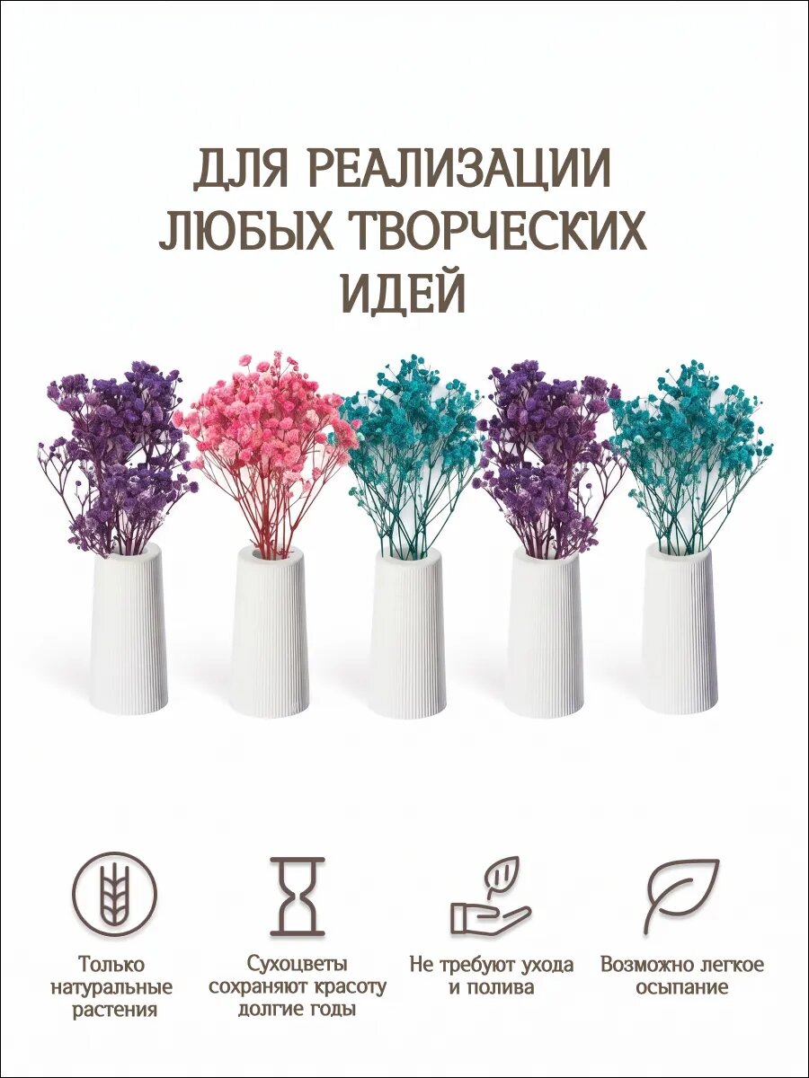 Гипсофилы мини 5 букетов, до 15 см сухоцветы для декора и интерьера elka.bio — фото 1