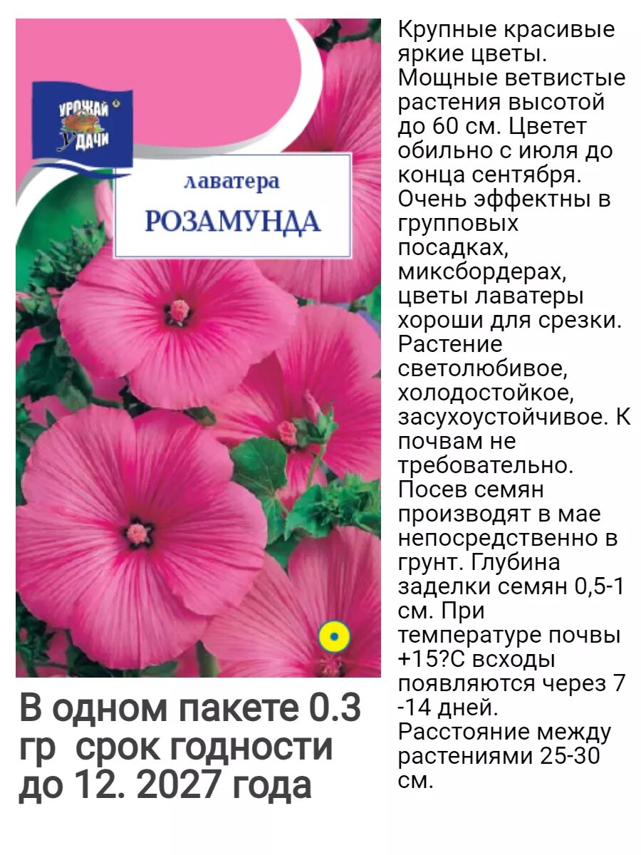 Семена лаватера — фото 1