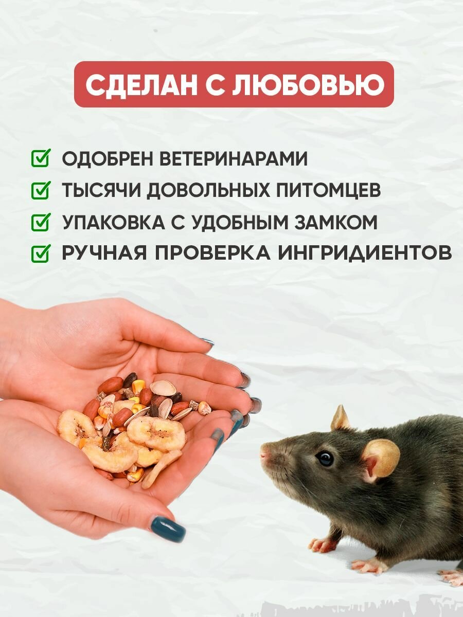 Сухой корм GRANOFEED для крыс и декоративных мышей премиум качества 800 — фото 1