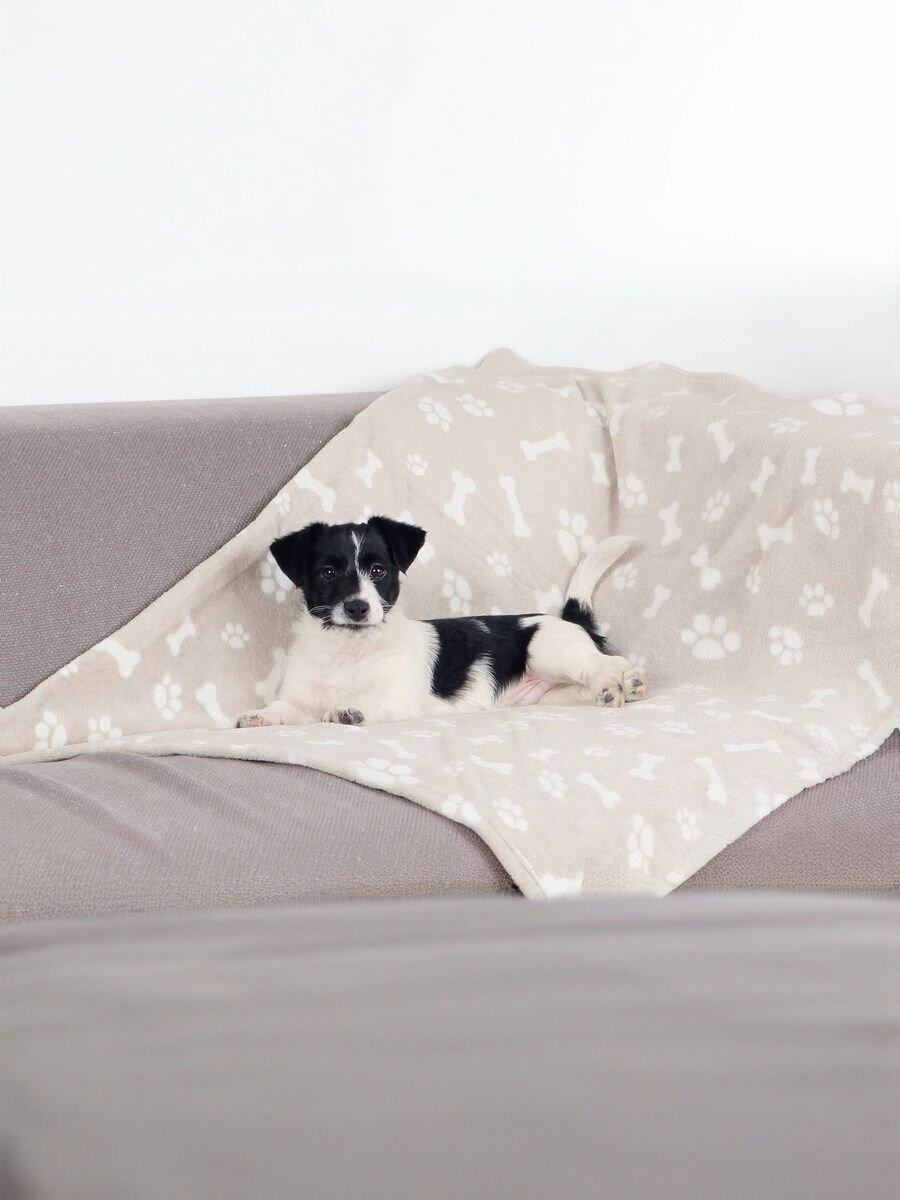 TRIXIE Подстилка-плед Kenny, плюш, 75 X 50 см, бежевый