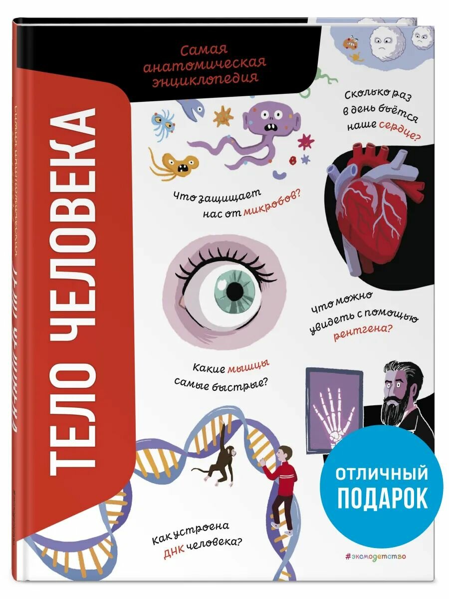 Тело человека. Самая анатомическая энциклопедия