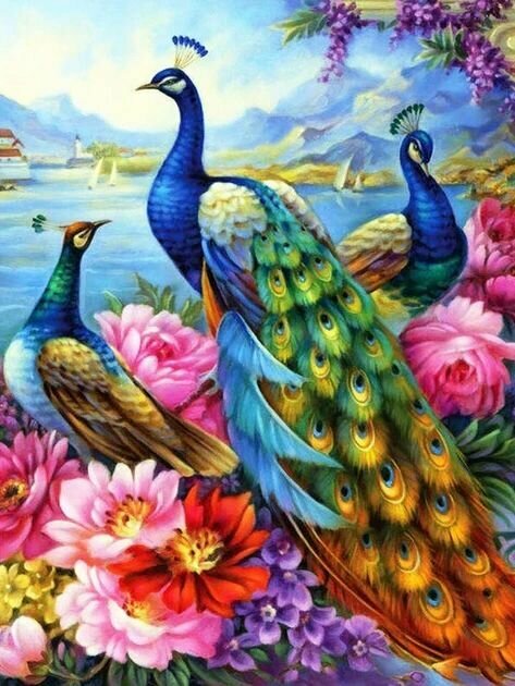 Алмазная картина "Павлин" алмазная огранка 40х50 см,40X50CM, белый