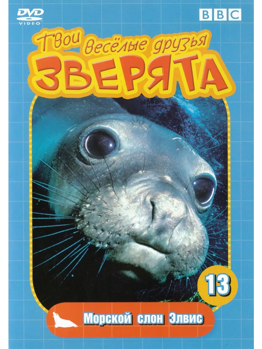 BBC: Твои веселые друзья зверята: Морской слон Элвис (DVD-R)