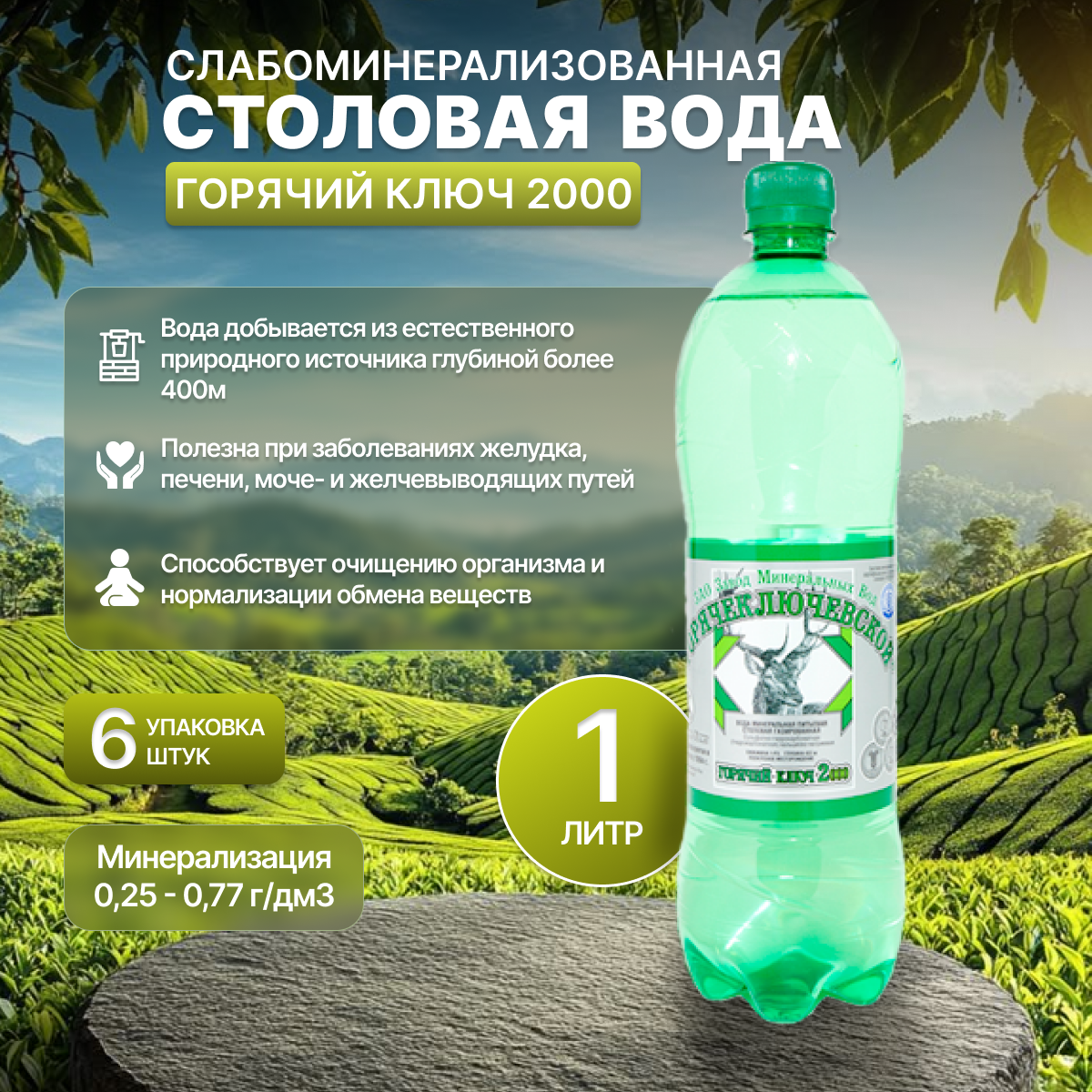 Вода минеральная Горячий Ключ 2000, слабогазированная, без вкуса, 1 л, 6 бутылок