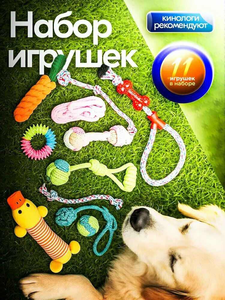 Набор игрушек для собак "11 в 1", текстиль, пластик, пищевой силикон, для мелких и средних собак