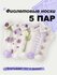 Носки , комплект, 5 пар, размер OneSize