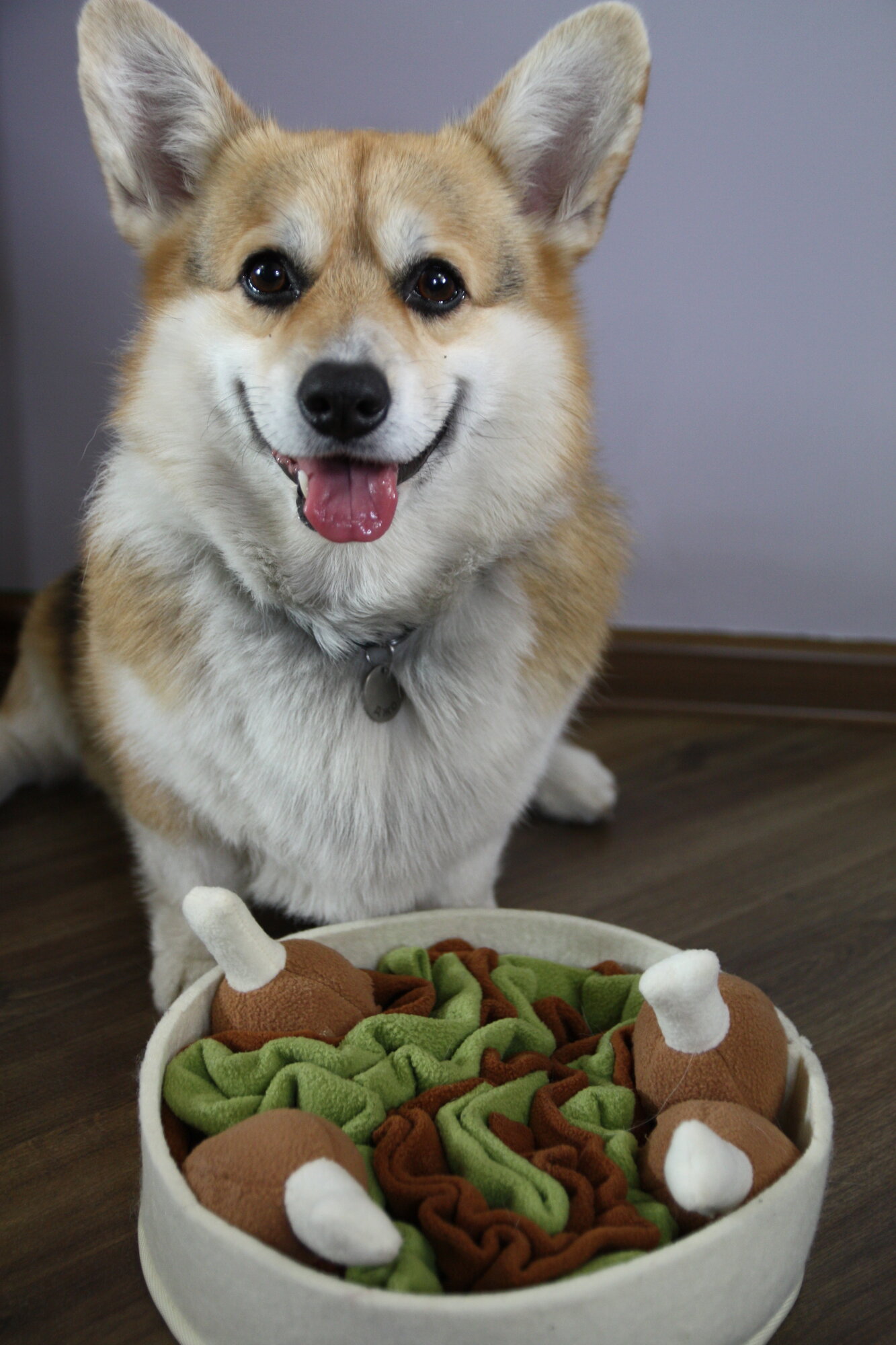 Нюхательный коврик DogLemi для собак 27 х 27