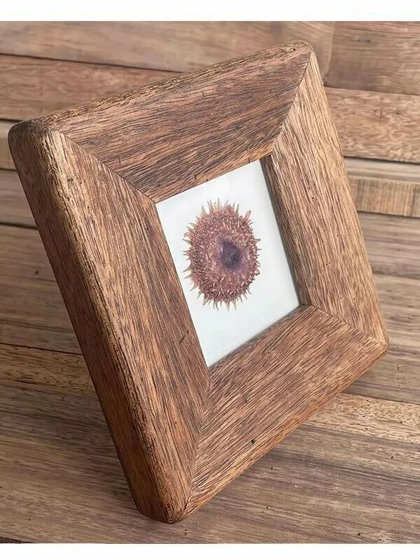 Фоторамка, без бренда, массив дерева, коричневая, для одной фото