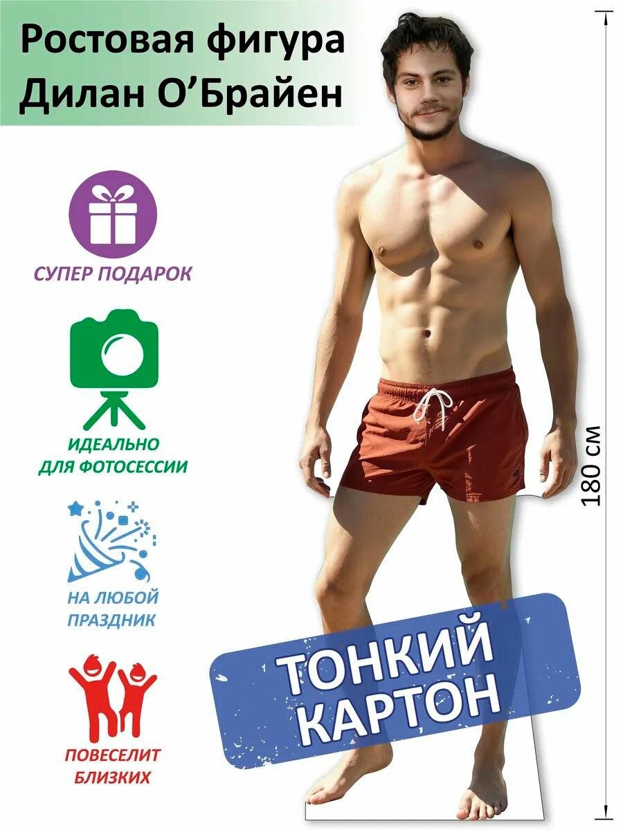Дилан О'Брайен Ростовая фигура, Тонкий картон, (Print100.ru)