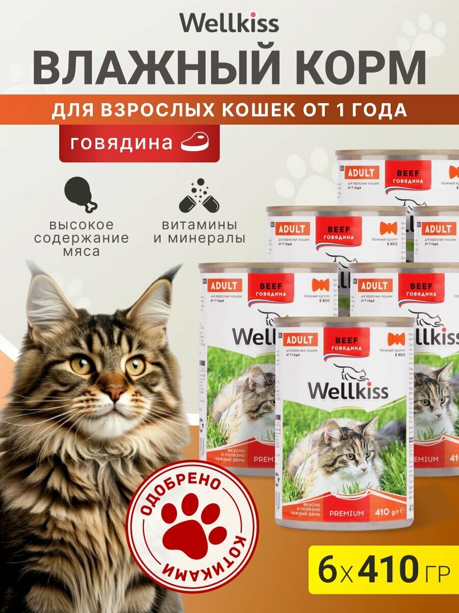 Wellkiss Влажный корм (консервы) для кошек, нежные кусочки с говядиной в желе, 410 гр. * 6 шт.