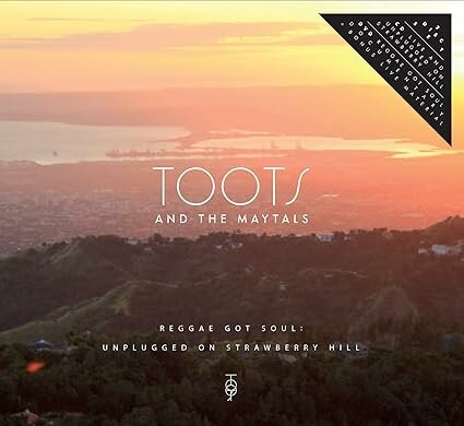 TOOTS & THE MAYTALS UNPLUGGED ON STRAWBERRY HILL (Компакт-диск)