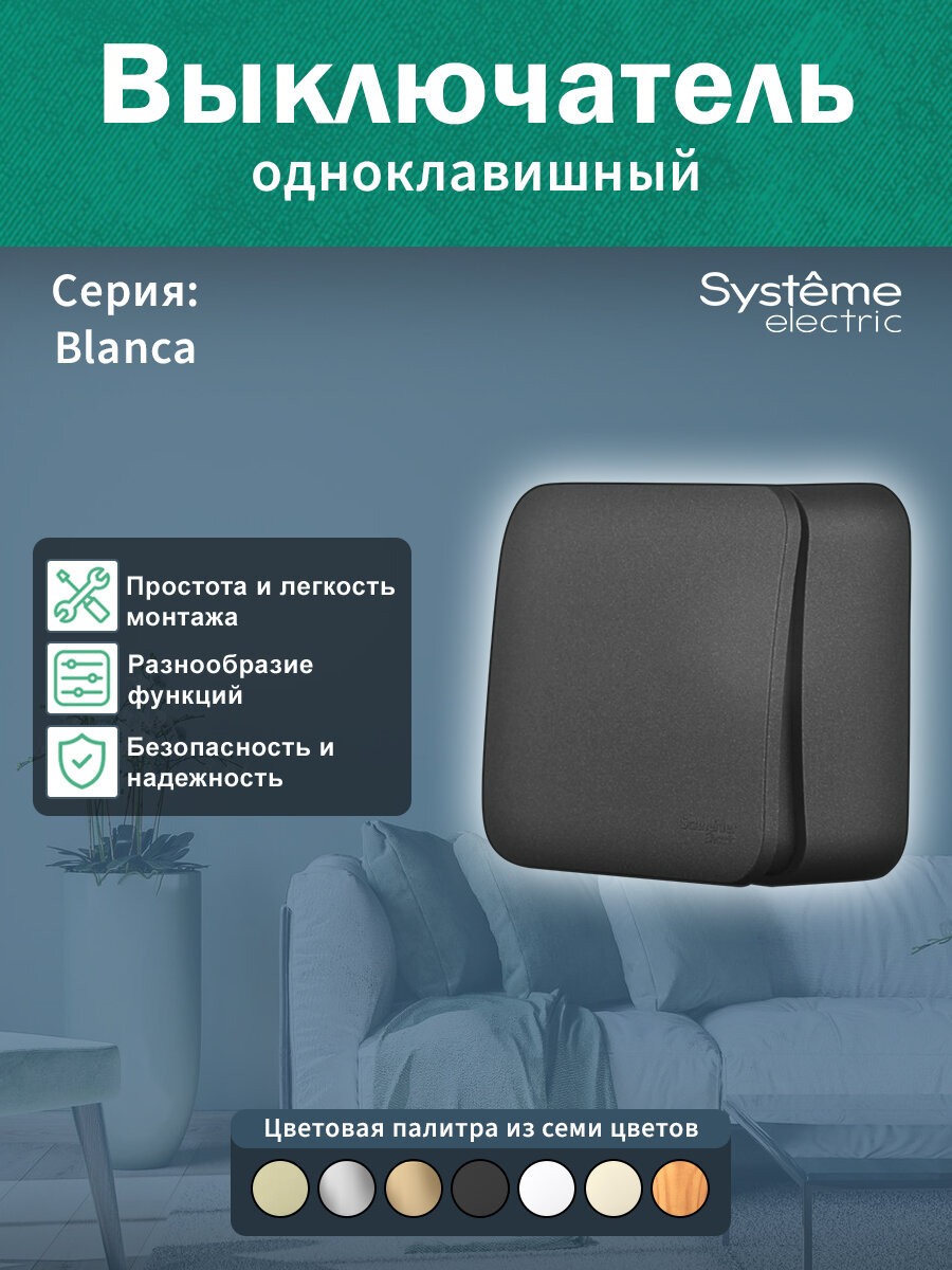 Выключатель одноклавишный антрацит, 10А, 250B, изолир. пластина (Schneider Electric Blanca) BLNVA101016