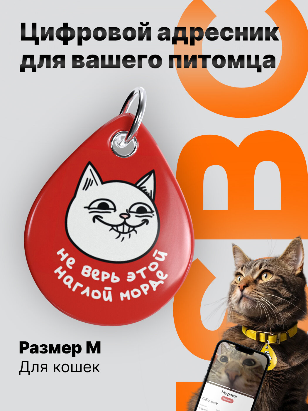 Цифровой Адресник для кошек от ISBC с NFC и QR-кодом, Наглая морда кота, размер М