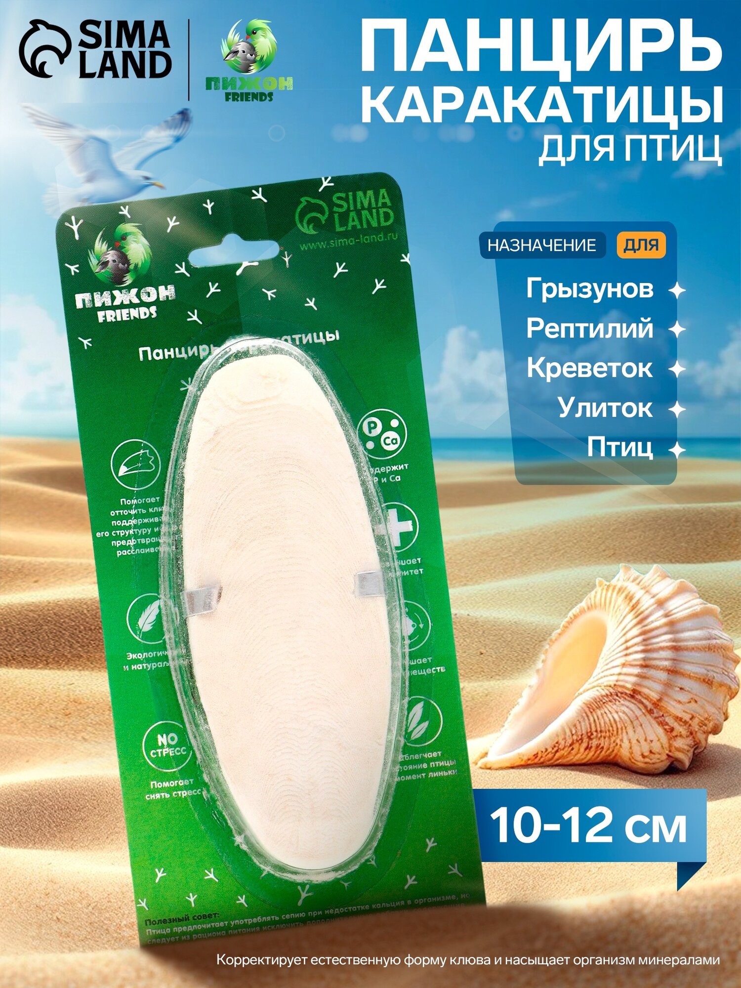 Панцирь каракатицы Пижон, для птиц, размер 10-12 см, цвет белый