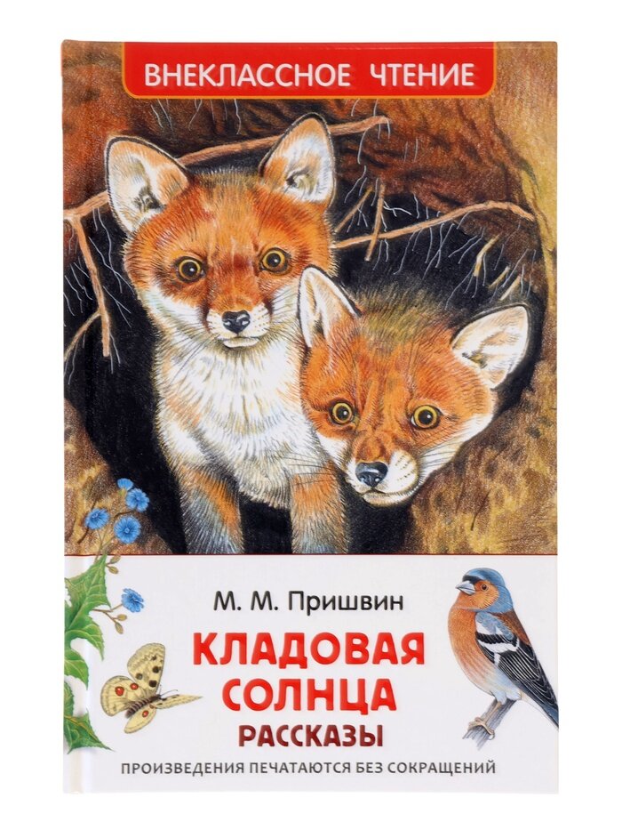 Книга детская для внеклассного чтения «Кладовая солнца», Пришвин М.