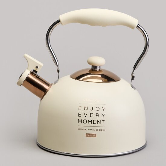 Чайник Agness со свистком, 2,5 л.(914-160)