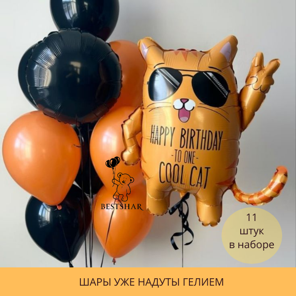Набор воздушных шаров "Крутой котик" Best Shar, наполнение гелием, 11 штук