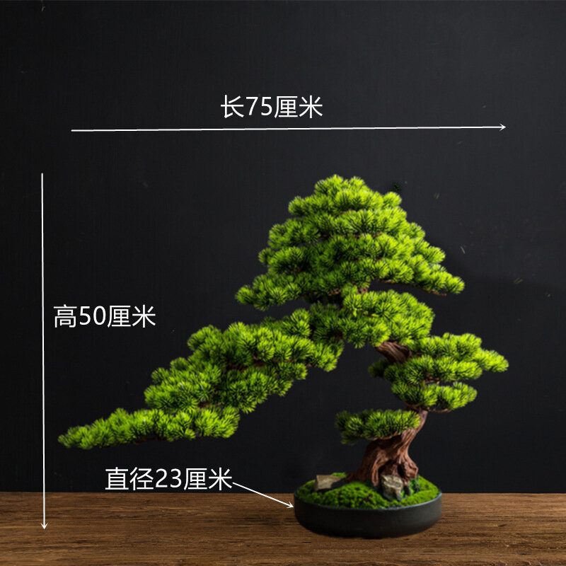 Растение для украшения "Бонсай", черная сосна, массив дерева, зеленые листья