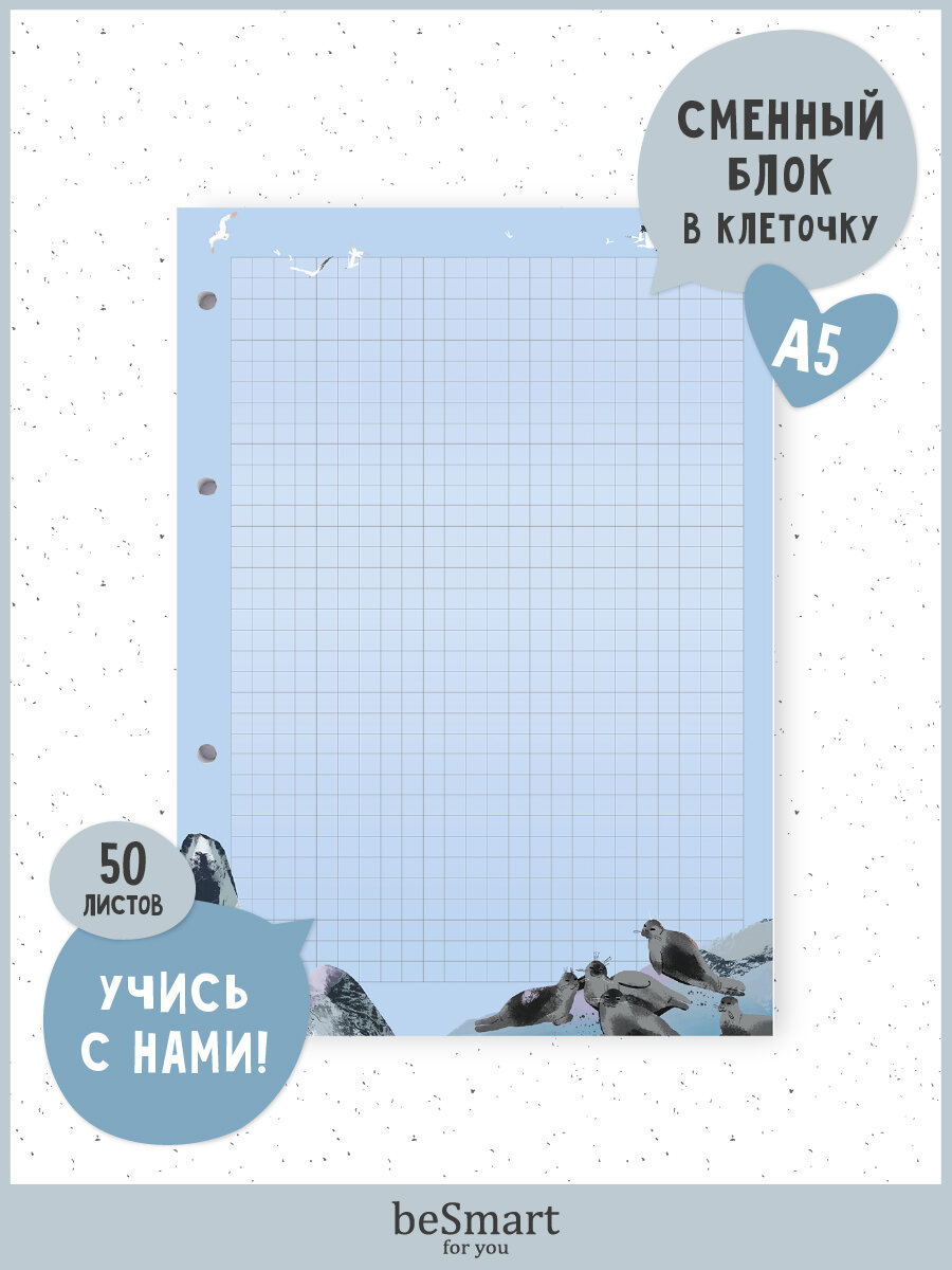 Сменный блок для тетради на кольцах beSmart "Homeland", А5 на 50 листов в клетку