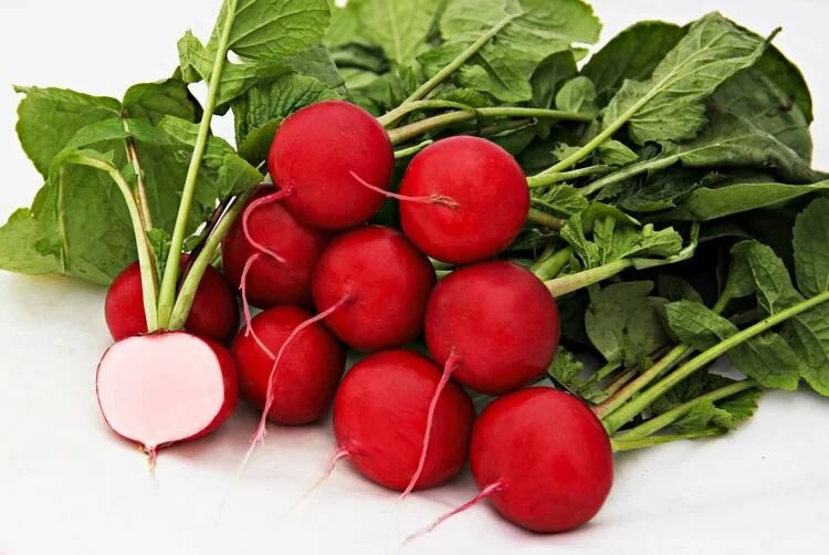 Коллекционные семена редиса Мидуэй F1