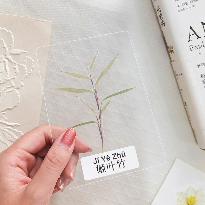 Настоящий четырехлистный клевер, амулет, приносит удачу, отгоняет невезение и сохраняет его сухим и постоянным.