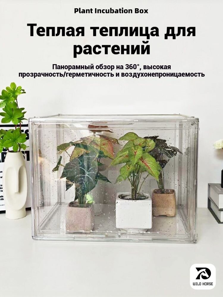 Парник, теплица