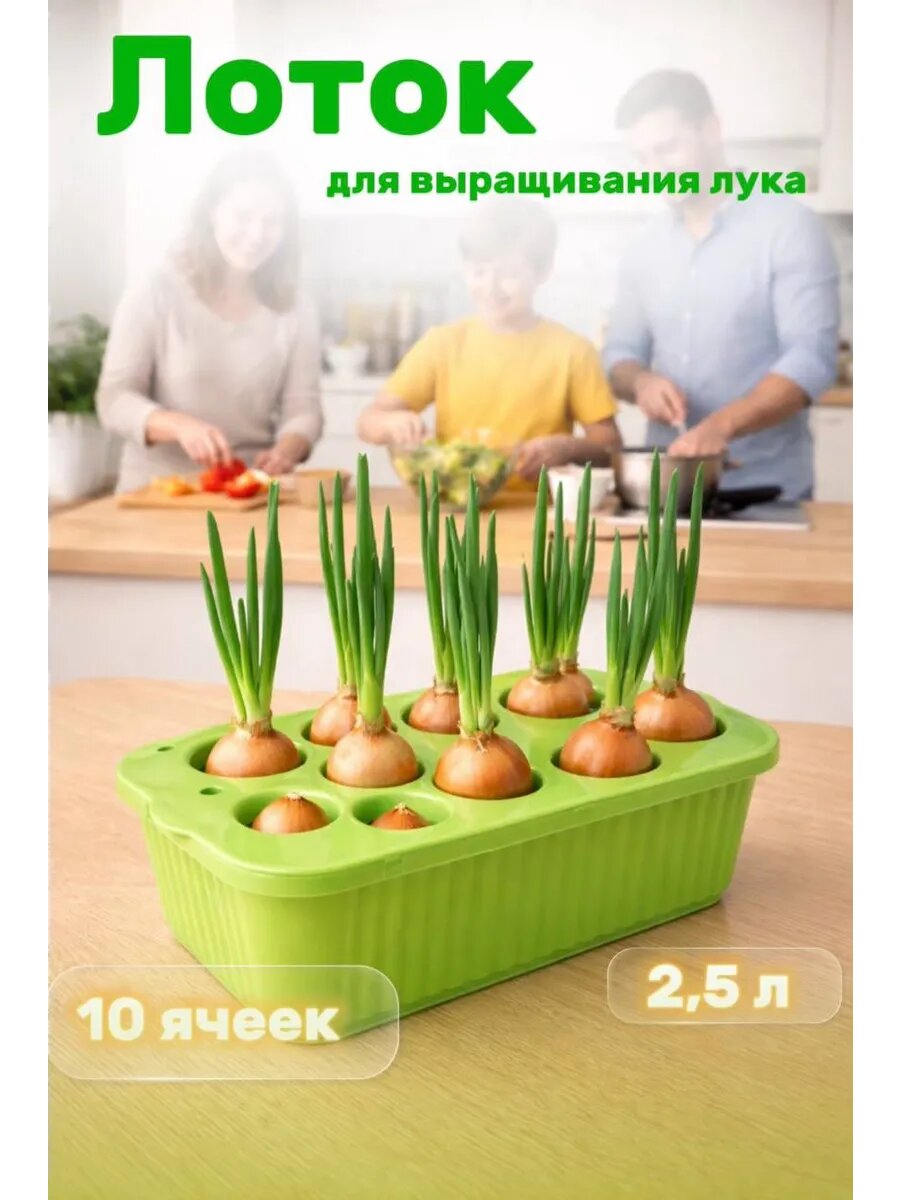 Лоток для выращивания зеленого лука