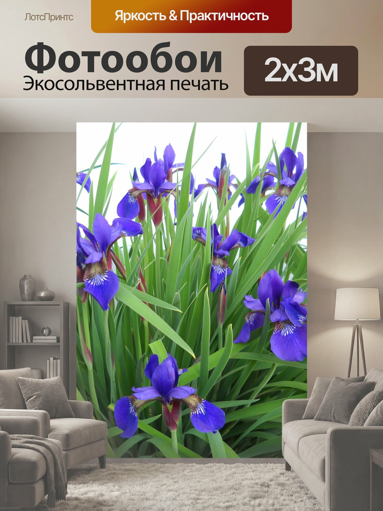 Фотообои "Сибирский Ирис Фото довольно синий Сибирский завод Iris Сибирский ирис цветы синие сад растения цветочные природа" 200x300 см. экосольвентная печать