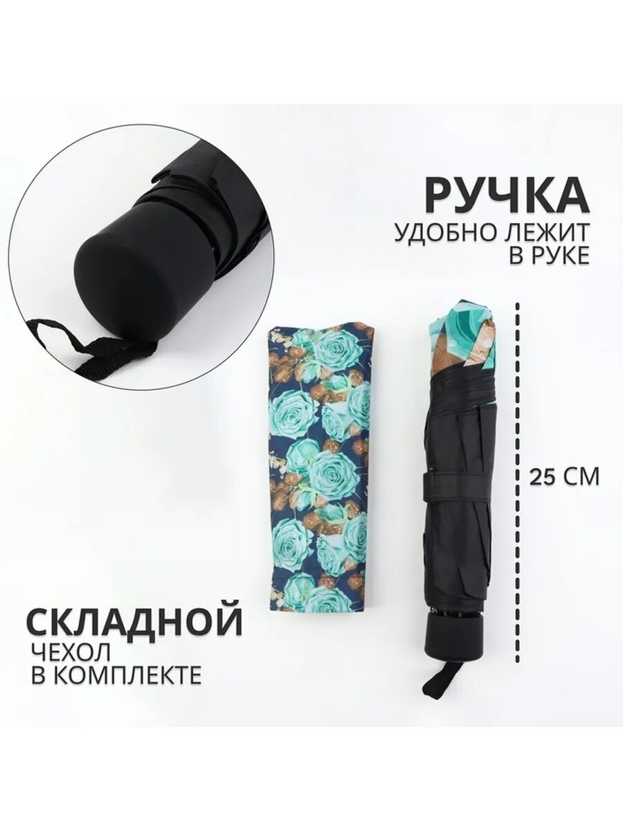 Зонт
