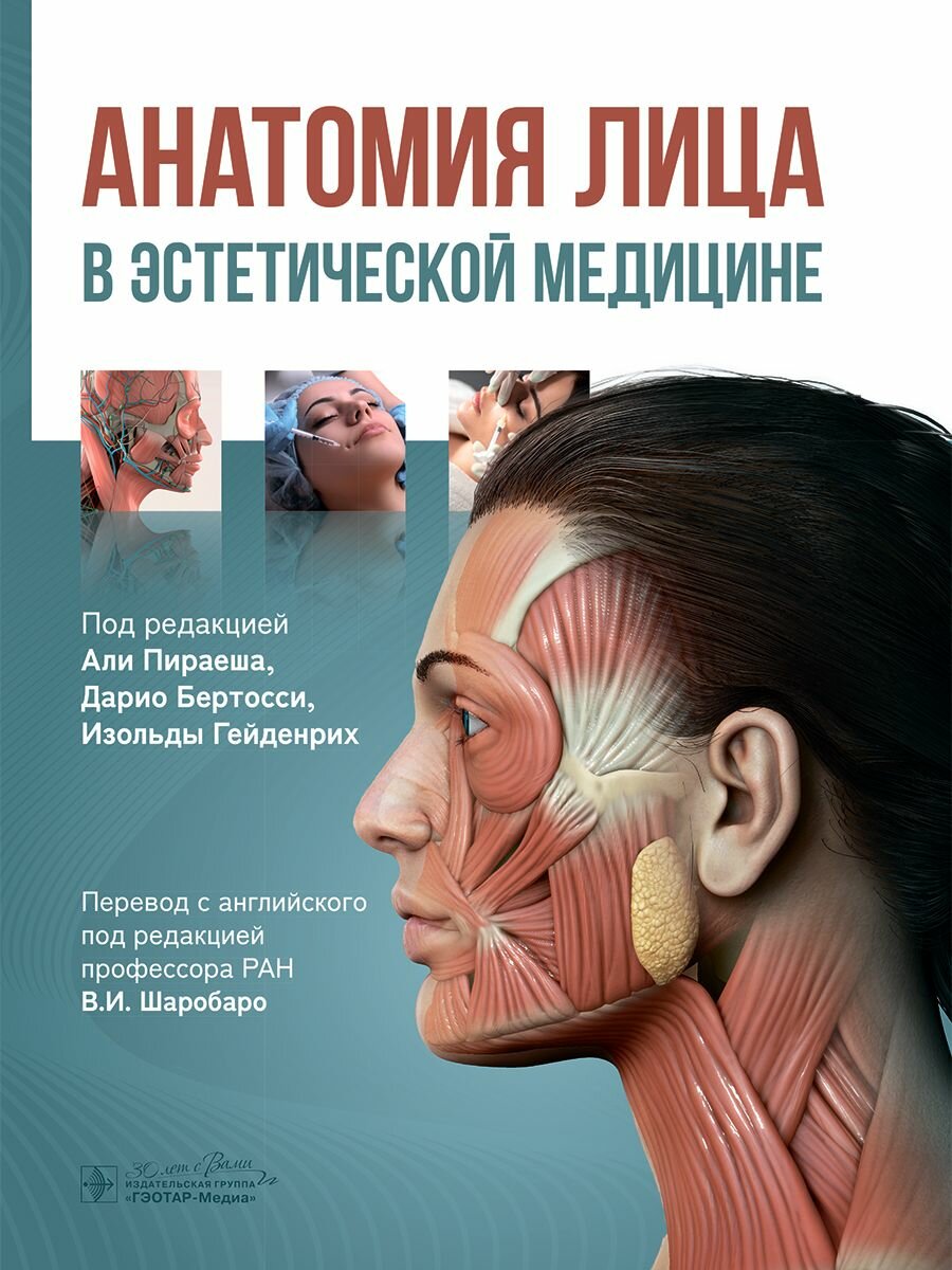 Анатомия лица в эстетической медицине