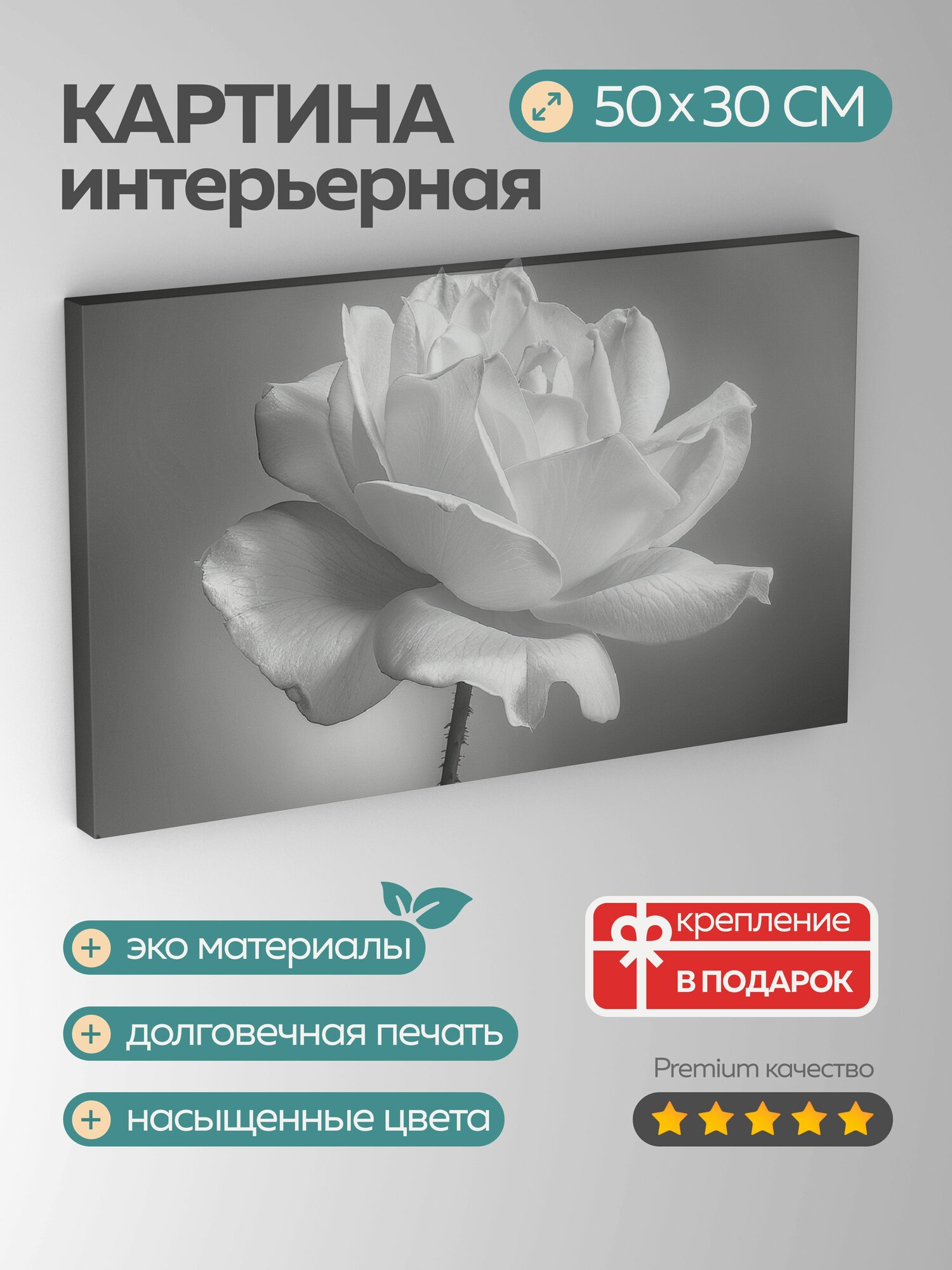 Картина на холсте интерьерная 50х30 см, черно-белая фотография, белая роза, нежные лепестки, мягкий рассеянный свет