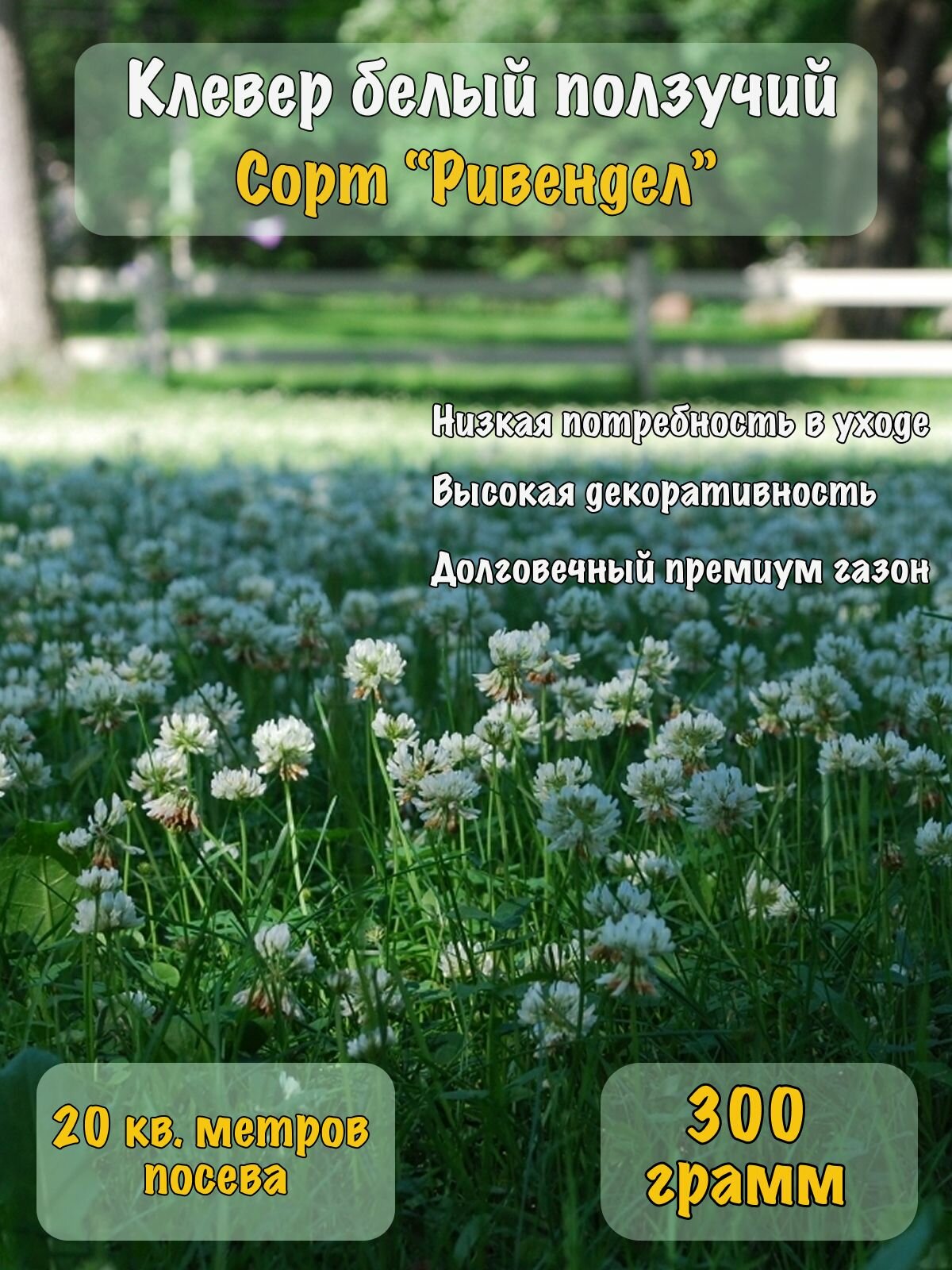 Семена премиум газон Клевер белый ползучий "Ривендел" 300 грамм на 20 м. кв.