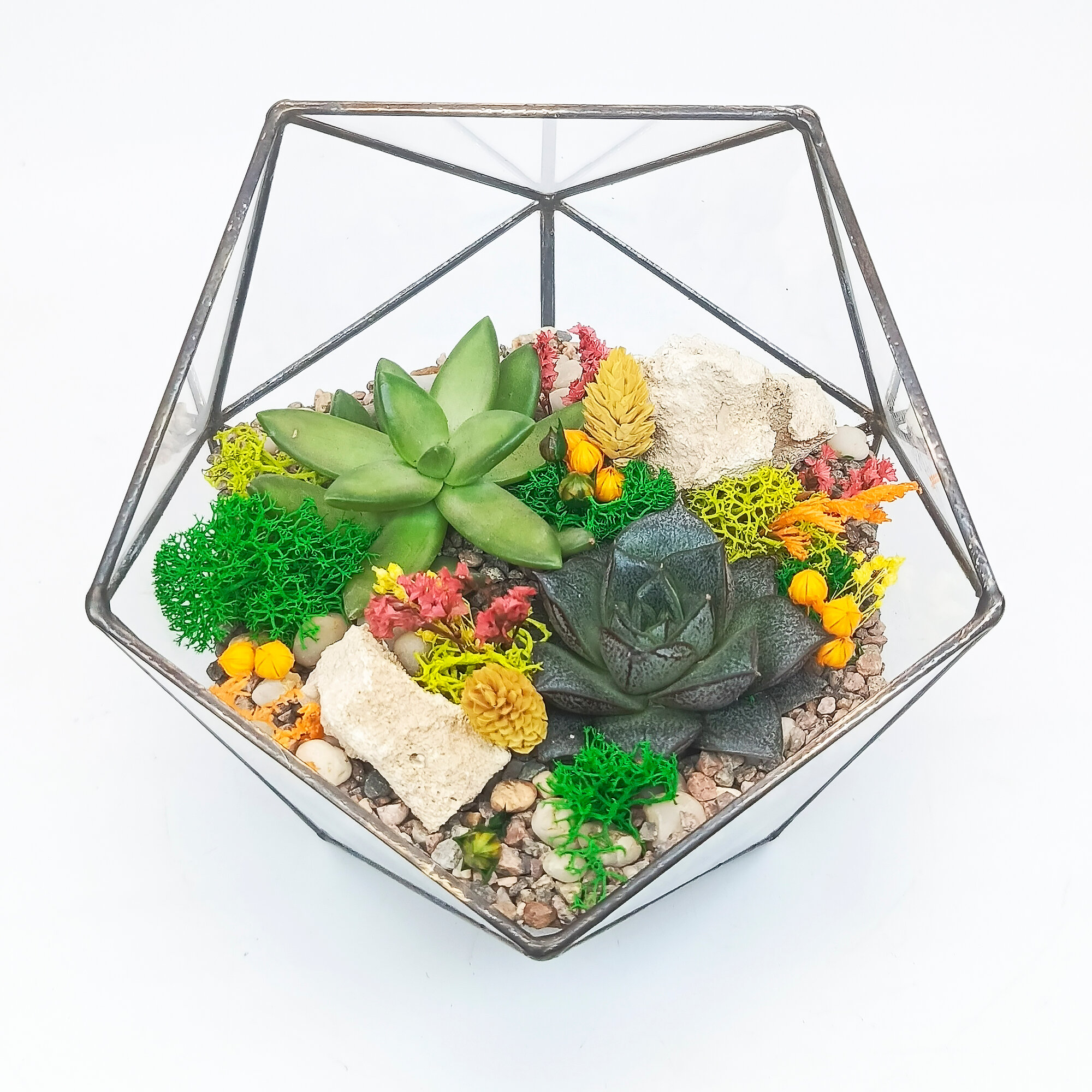 Флорариум с суккулентами Икосаэдр мини "Яркий" 14см (Ø16см)