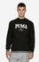 Свитшот спортивный PUMA, размер L, , черный