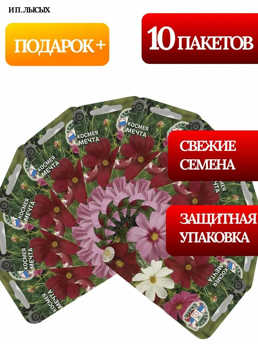 Семена Космея "Мечта"