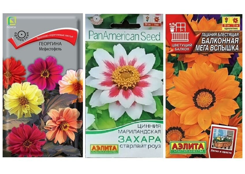 Набор семян Весенний джаз (Георгина Мефистофель, Цинния Захара старлайт роуз, Гацания Балконная Мега Вспышка)