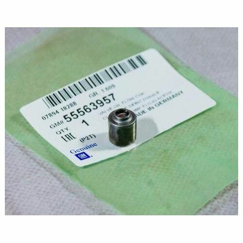 Регулирующий клапан General Motors 55563957