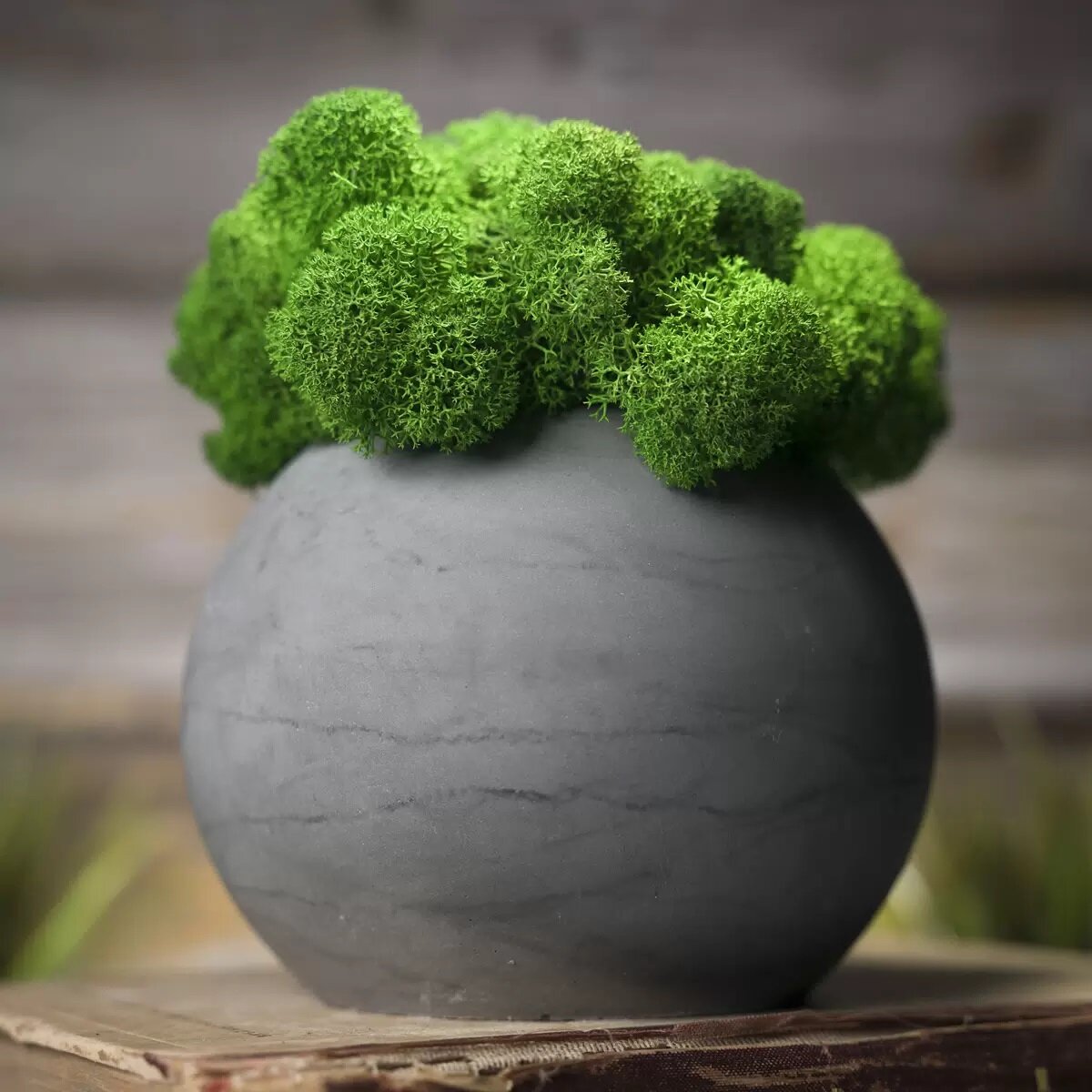Кашпо бетонное со мхом 'Sphere' (разные цвета) / Темно-серый