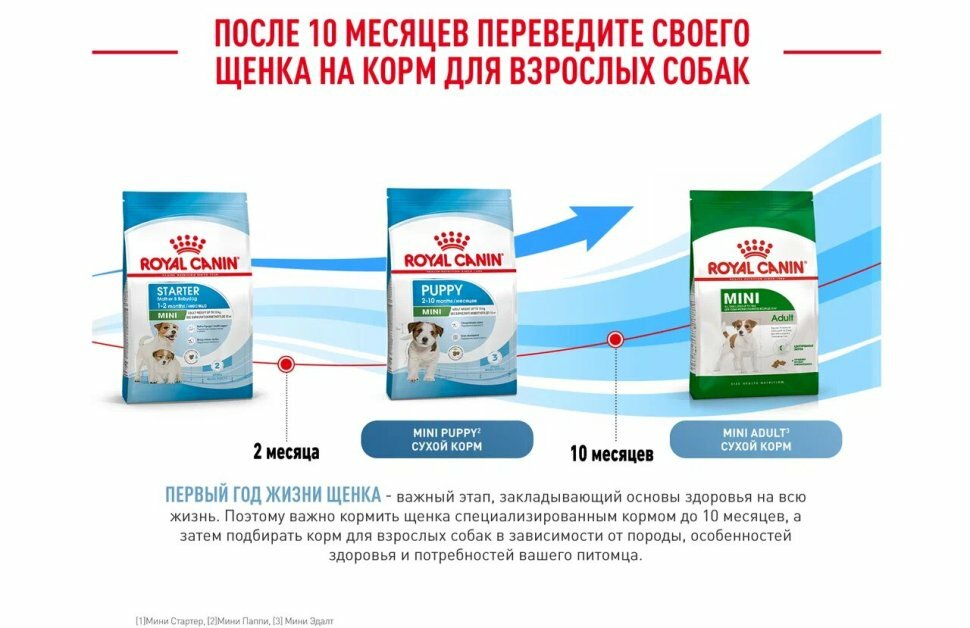 Корм Royal Canin "Mini Starter", для щенков до 2 мес, беременных и кормящих собак, сухой, 1 кг