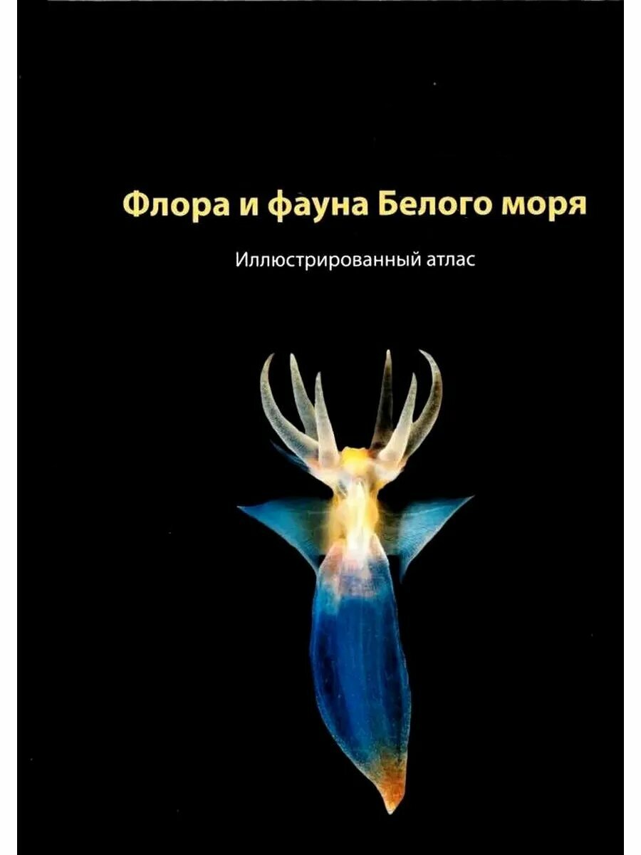 Флора и фауна Белого моря. Иллюстрированный атлас