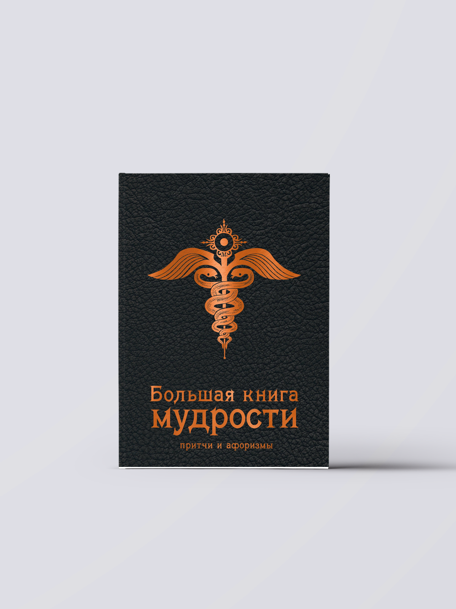 Большая книга мудрости (черная) | И. Попков
